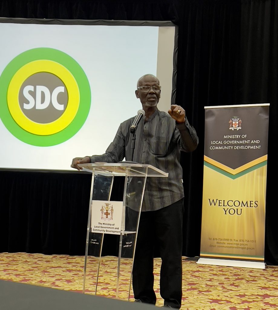 Institutional strengthening for SDC – Ministry of Local Government ...