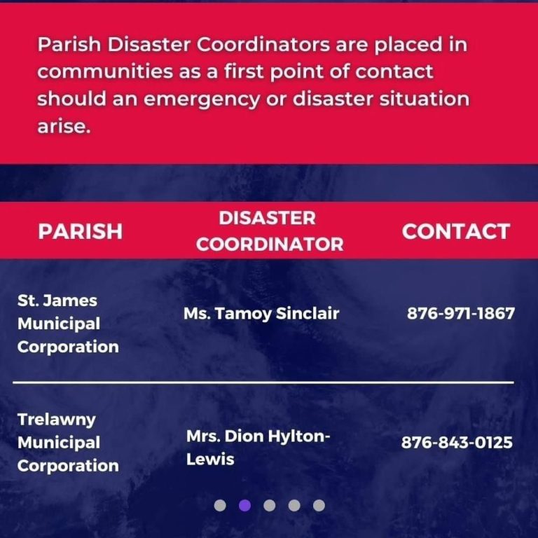 Newly elected Mayors and deputy Mayors – Ministry of Local Government ...